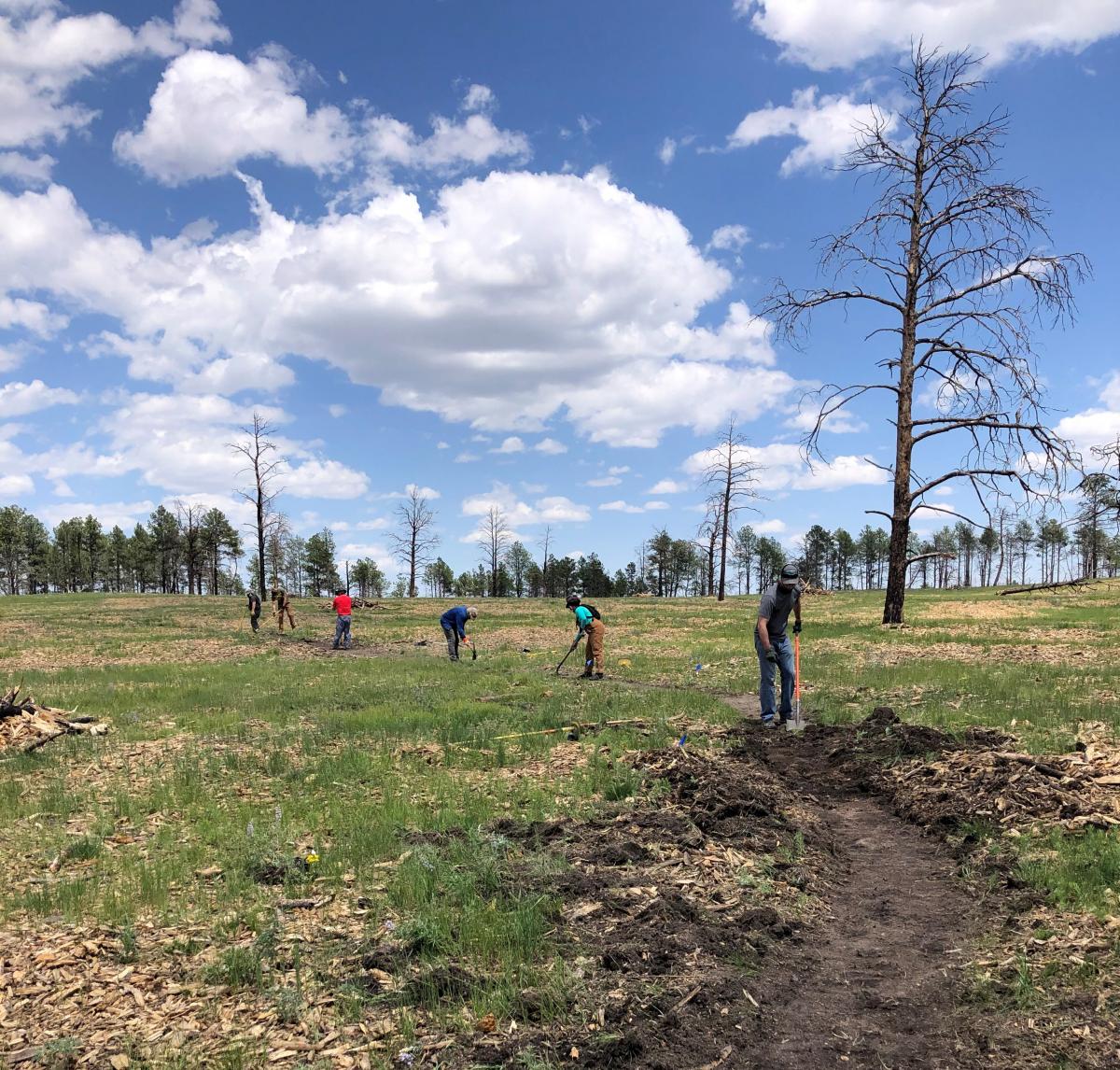 Pineries Open Space | Rocky Mountain Field Institute